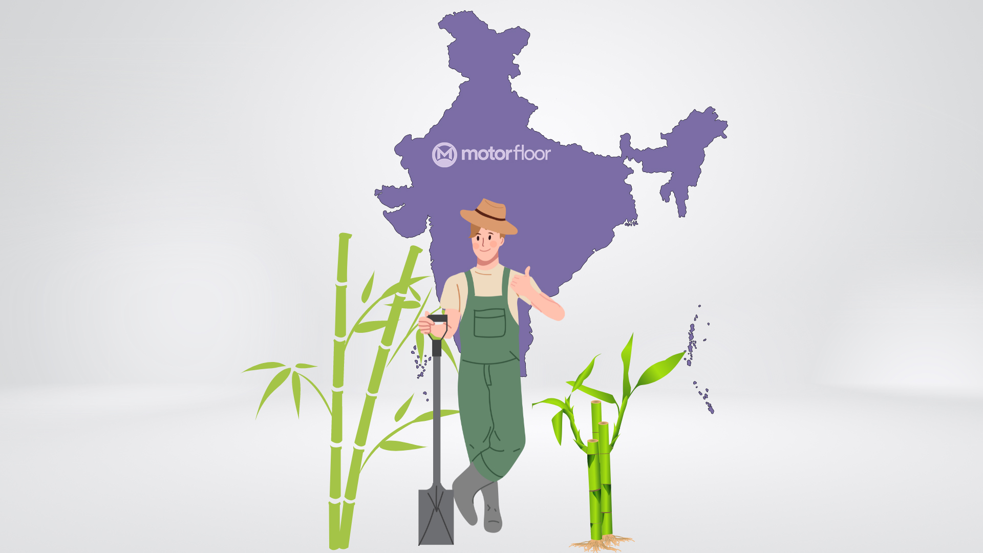 Bamboo Farming in India: A Complete Guide for Beginners